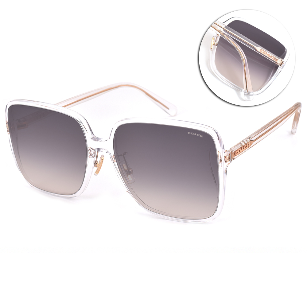 COACH,國際專櫃品牌,太陽眼鏡/眼鏡,精品/飾品 - momo購物網- 好評推薦 -2023年8月